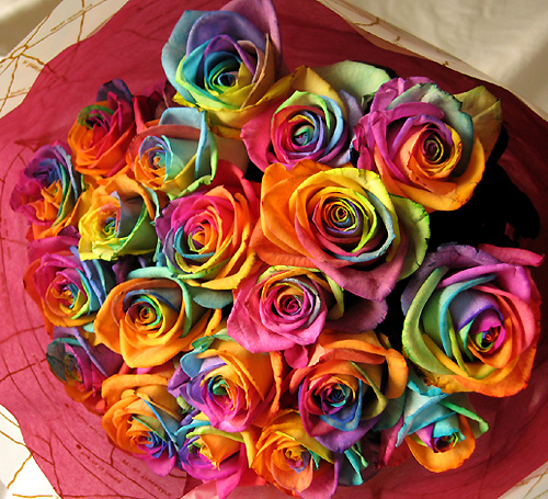 Us Online News: Rainbow Roses