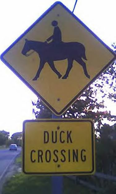 20 Challenging Unusual Road Signs ~ UNUSUAL THINGs