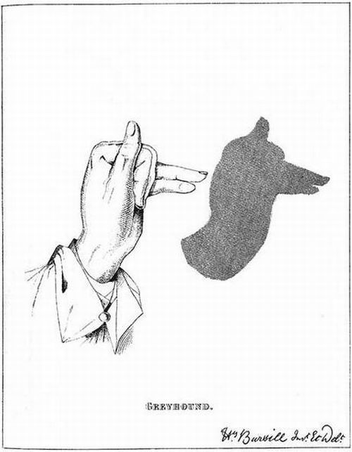 incredible Shadowgraphy Art ~ AMAZING-ARTS