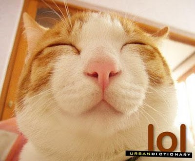 LIKE AND SHARE: 15 Most Funny lol cats