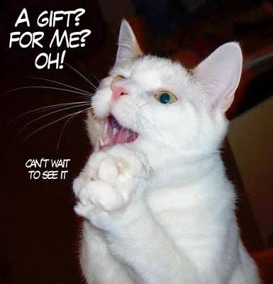 LIKE AND SHARE: 15 Most Funny lol cats