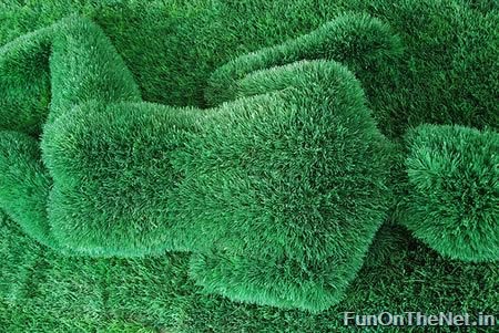 10 Wonderful Grass Sculptures ~ UNUSUAL THINGs