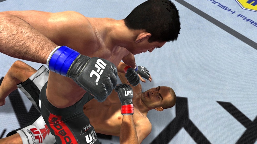 Trucos y guías: THQ hace público el listado de luchadores de UFC ...