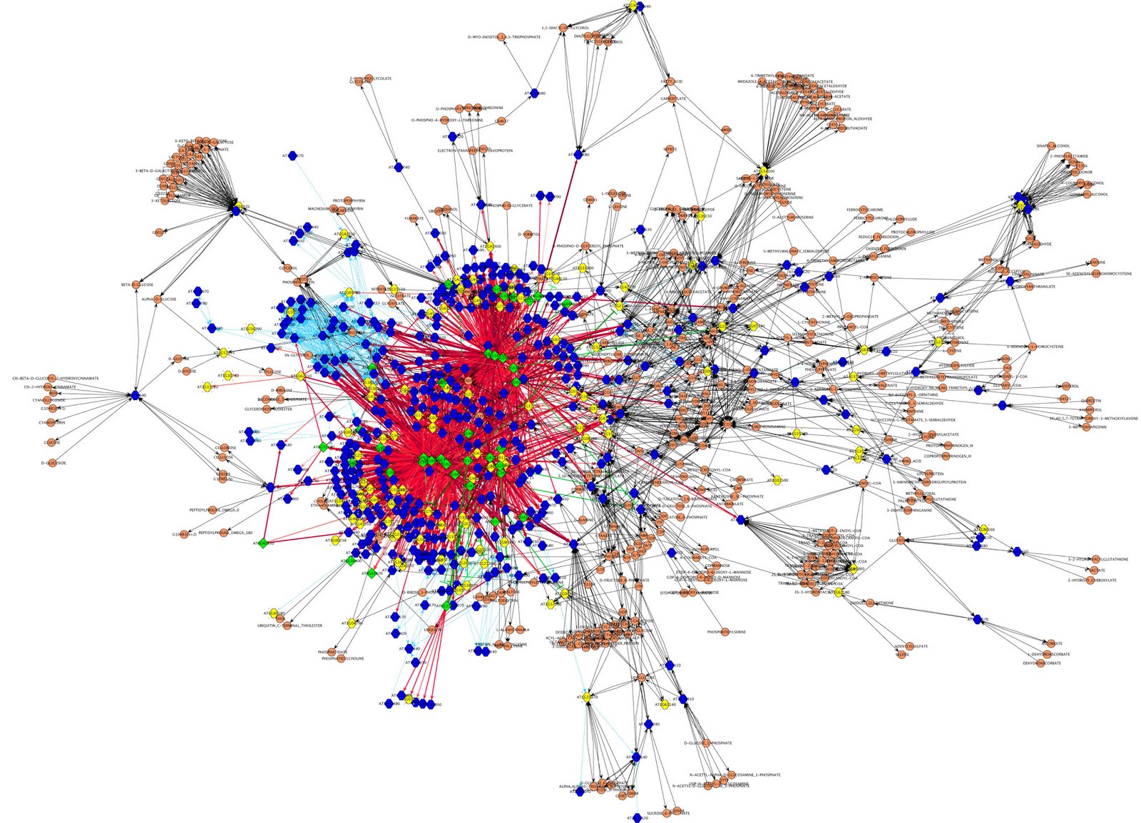 Genetic Modifiers: Genetic Regulatory Networks