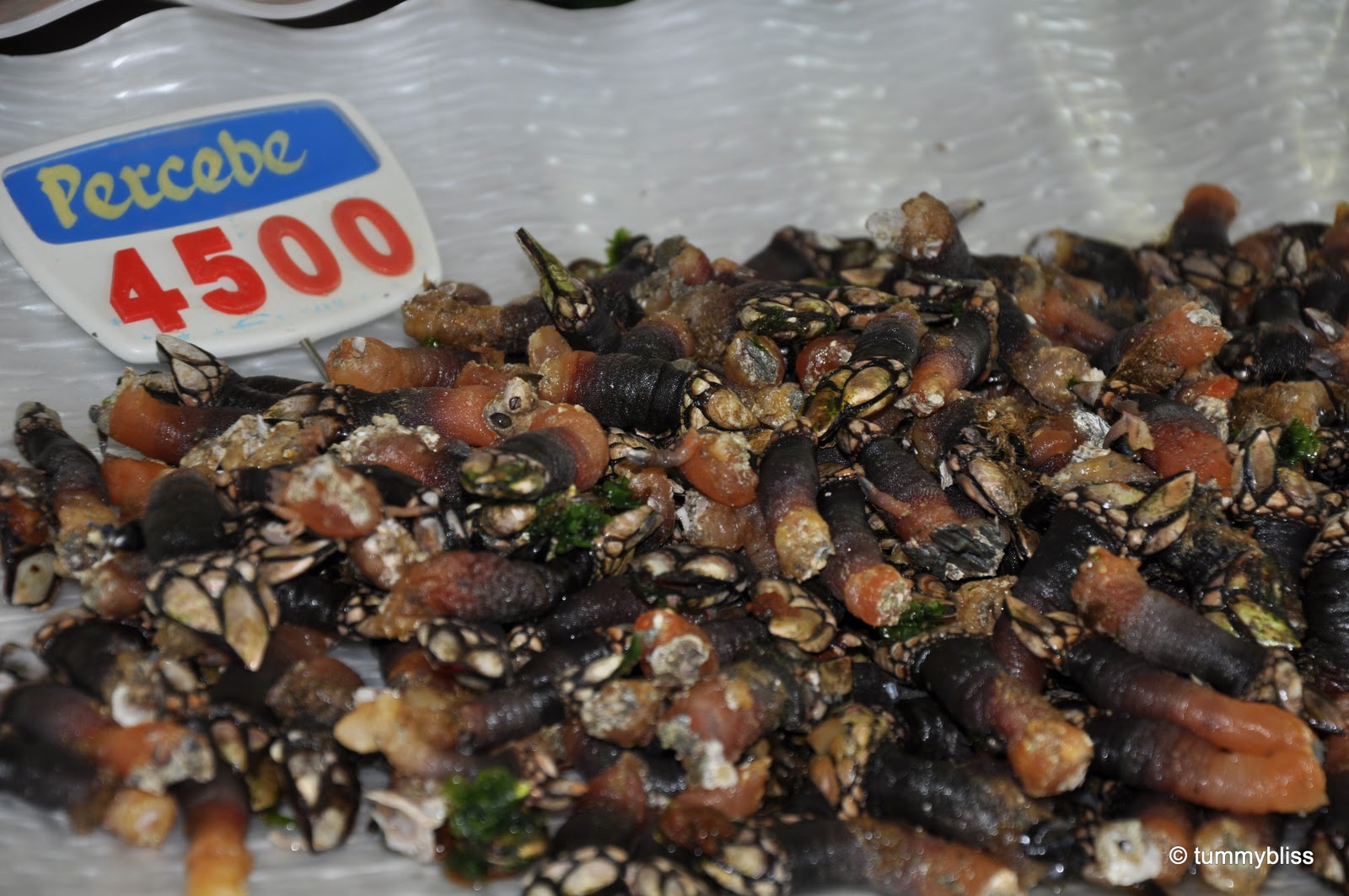 to devour...: Barnacles (Percebes)