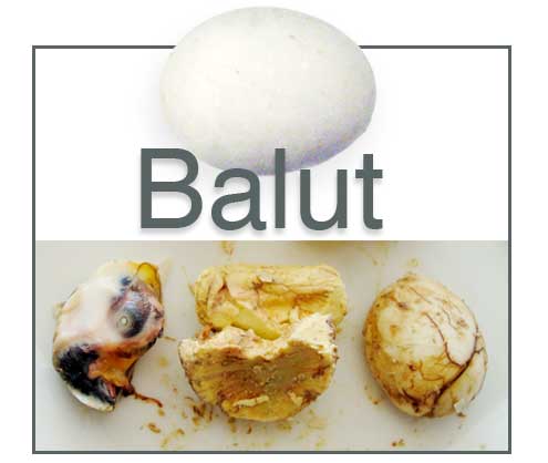 Filipino Cuisines and Native Foods: Pickled Balut
