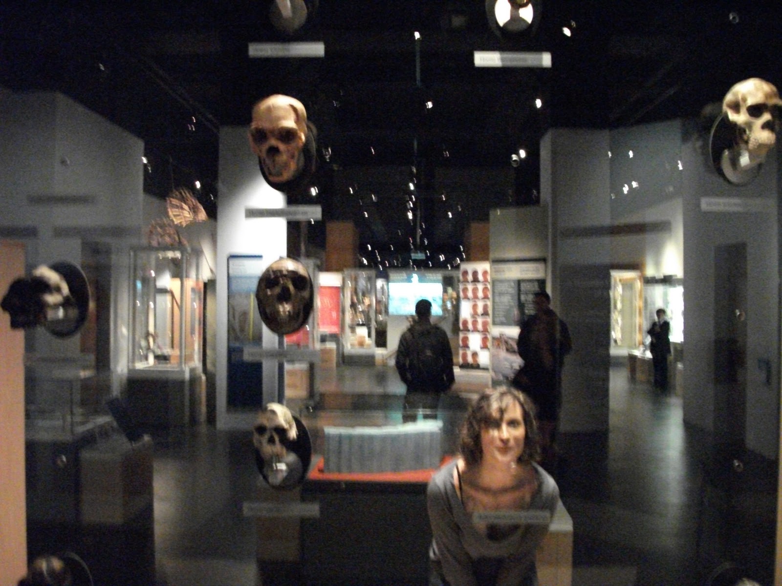 Waking Up In Wales: Cardiff National Museum