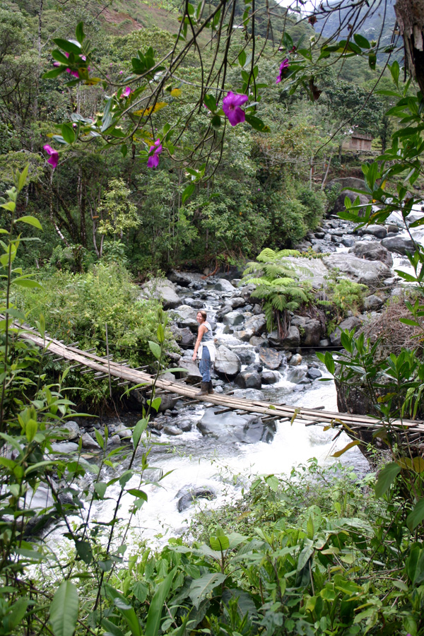 Iguana - the backpackers hostel in Cali: Rio Pance