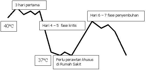 Konsultasi Dokter Keluarga: Demam Berdarah