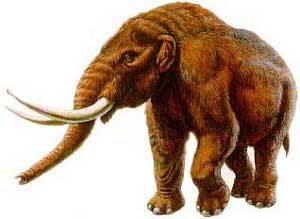 La Treizième Tribu: Mastodonte