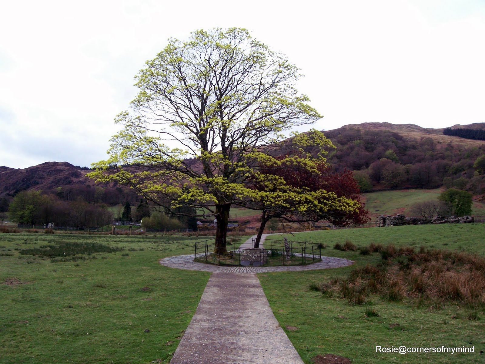 Corners of my Mind: The Legend of Gelert