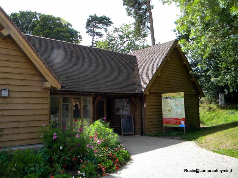 Corners of my Mind: Acton Scott Historic Working Farm