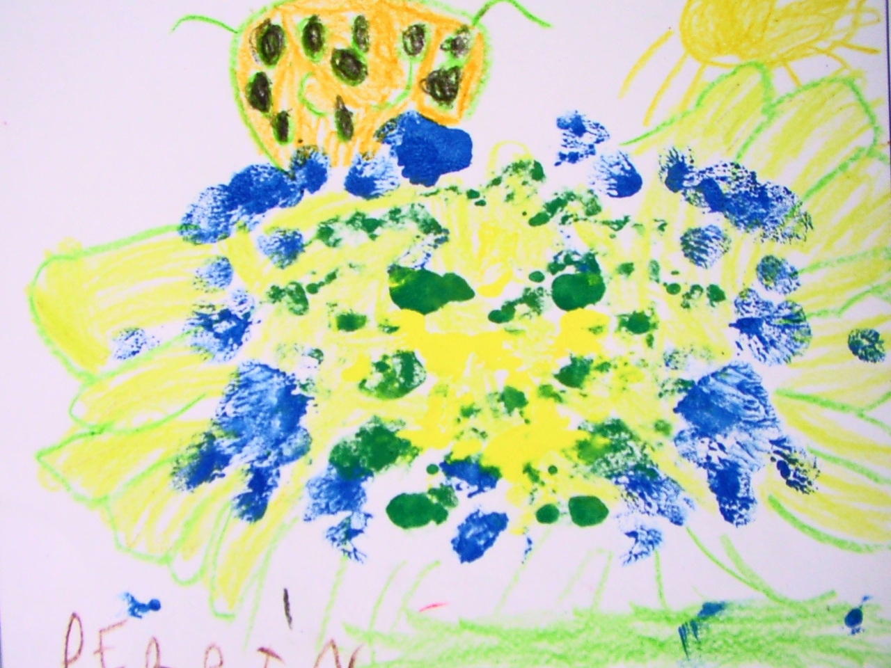 Primary Art: Symmetry Bugs