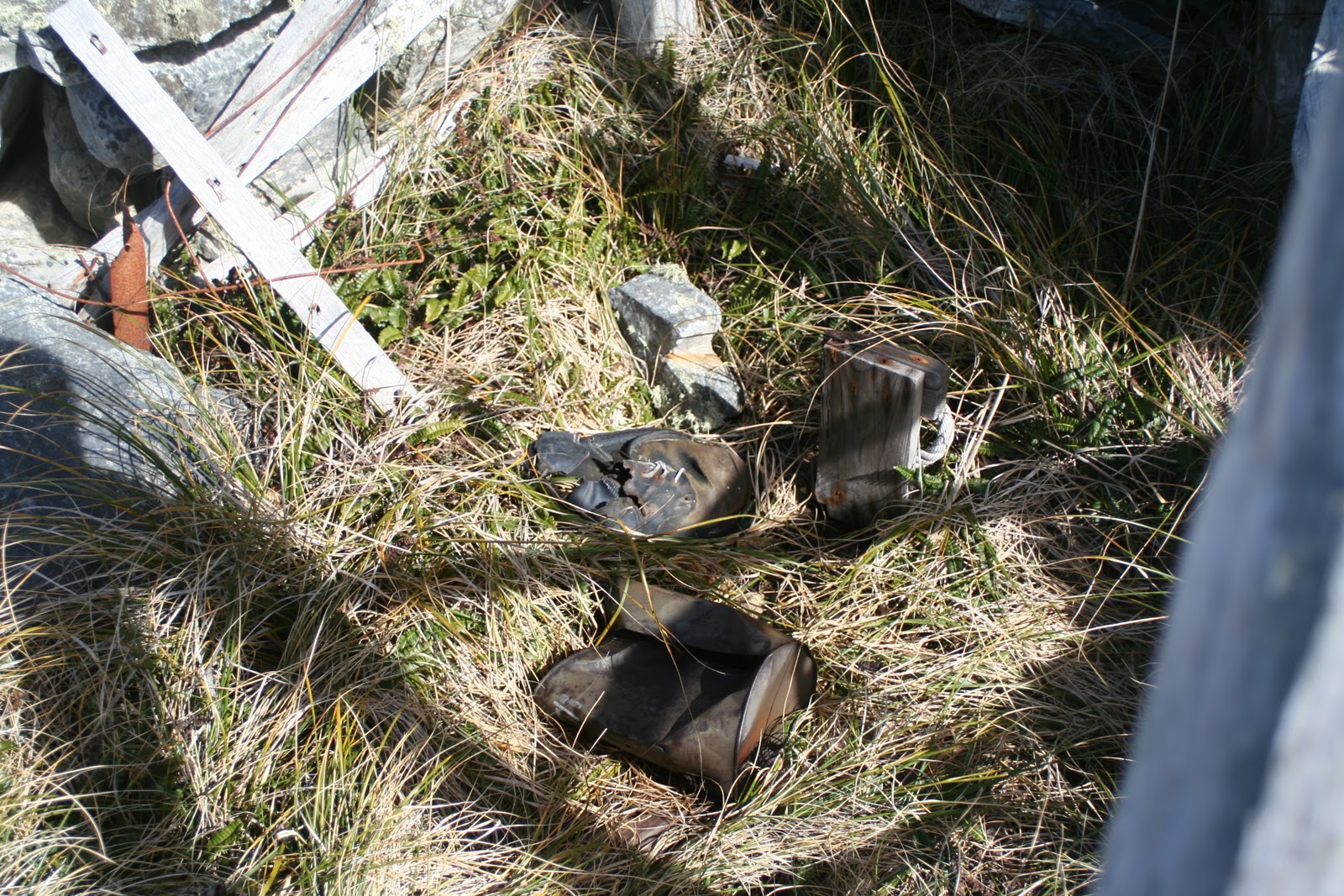 Big Falkland's Adventure: Wireless Ridge