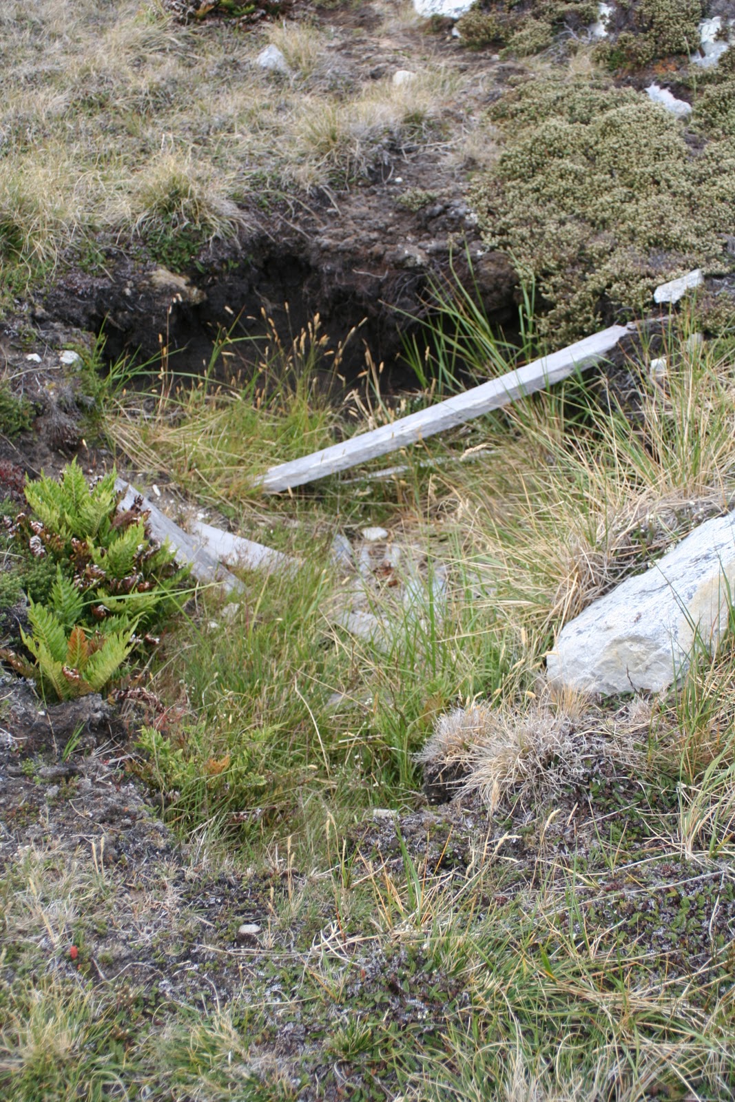 Big Falkland's Adventure: Mount Tumbledown