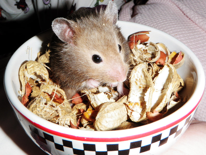 BUBBLELOVE: Milo Rambaldi