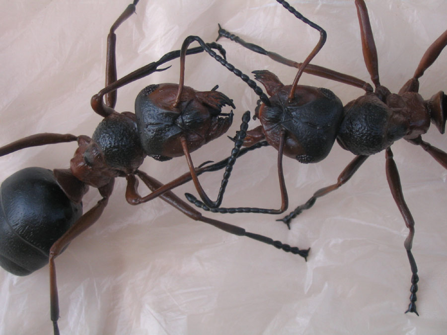 Jim Sterk | Sedihawk's Blog