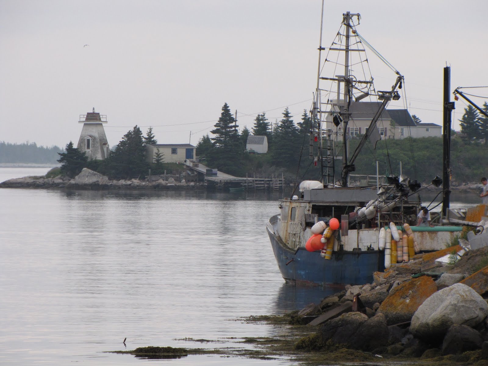 FiveKennys: Bayside Camp