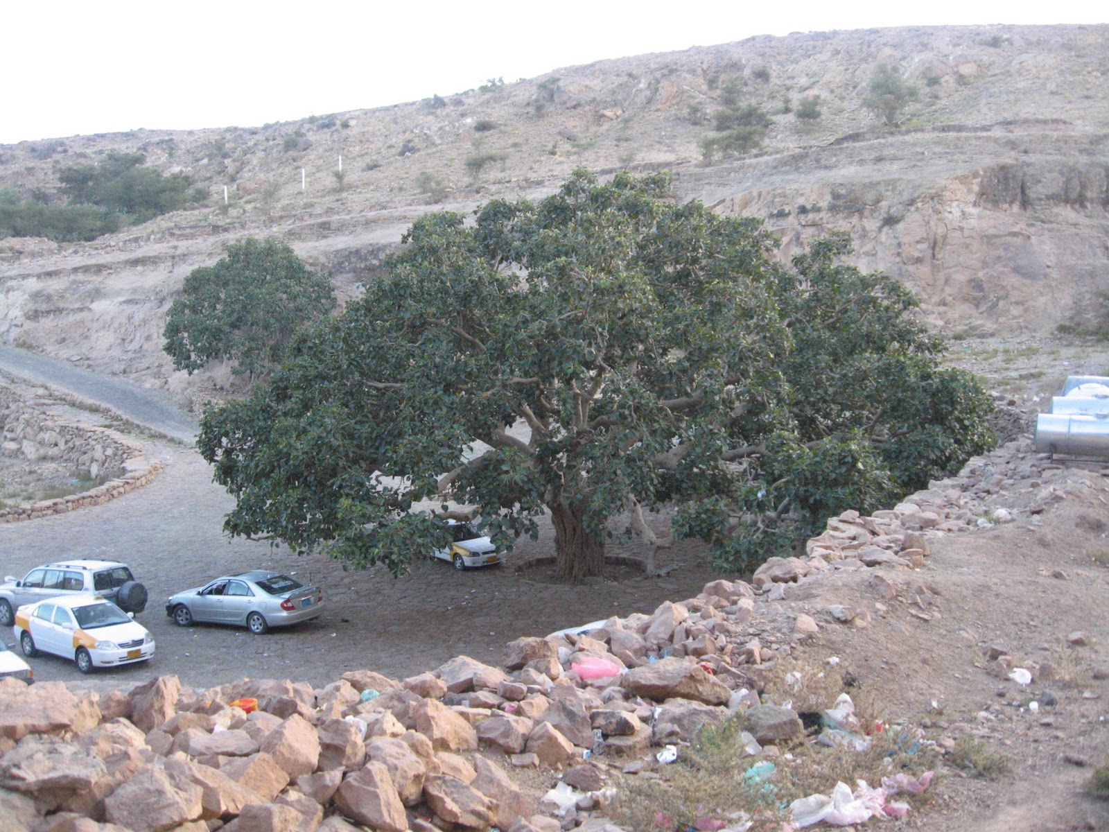 MM´s Arabische Träume - Orientalische Reisen Ägypten, Türkei, Syrien ...