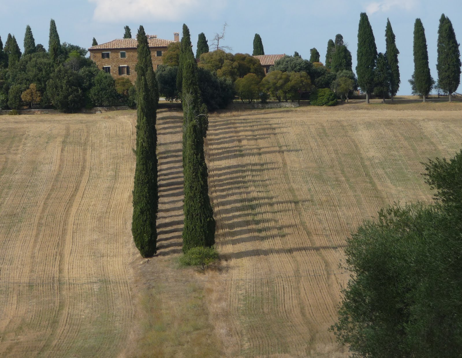 Kathy Dunham - Artist & Photographer: May 2010