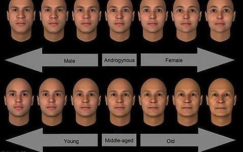 Tipos de rostros masculinos - Imagui