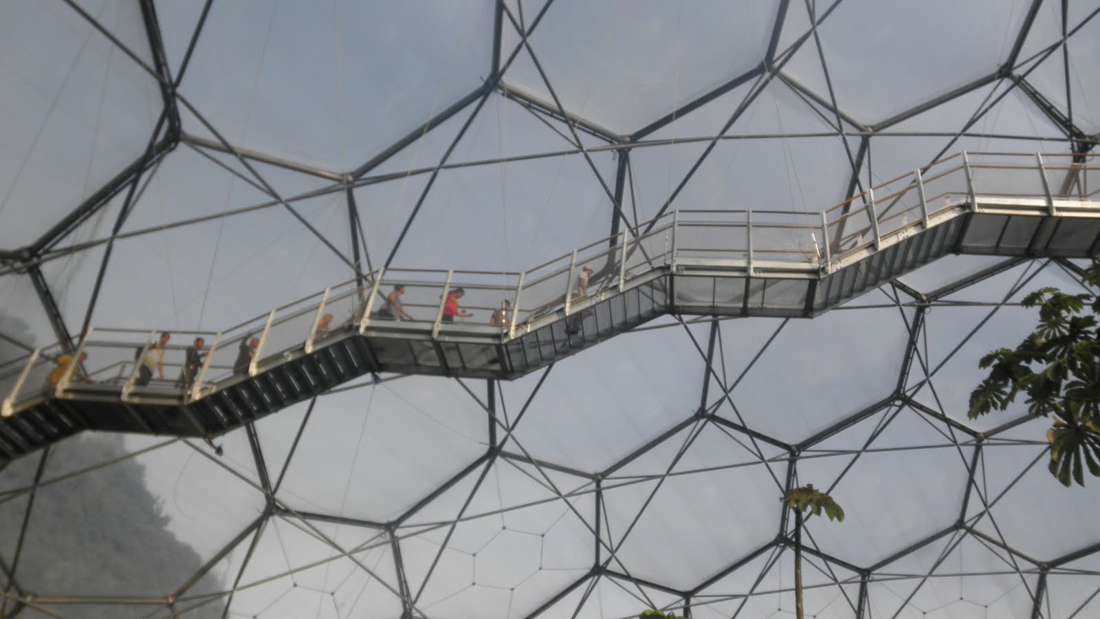 Glad Nomad: A Visit to the World's Largest Bio-domes