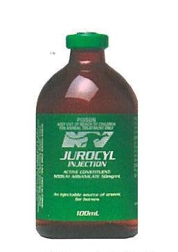 MANO Equestrian Services: JUROCYL