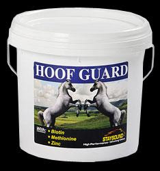 MANO Equestrian Services: HOOF GUARD