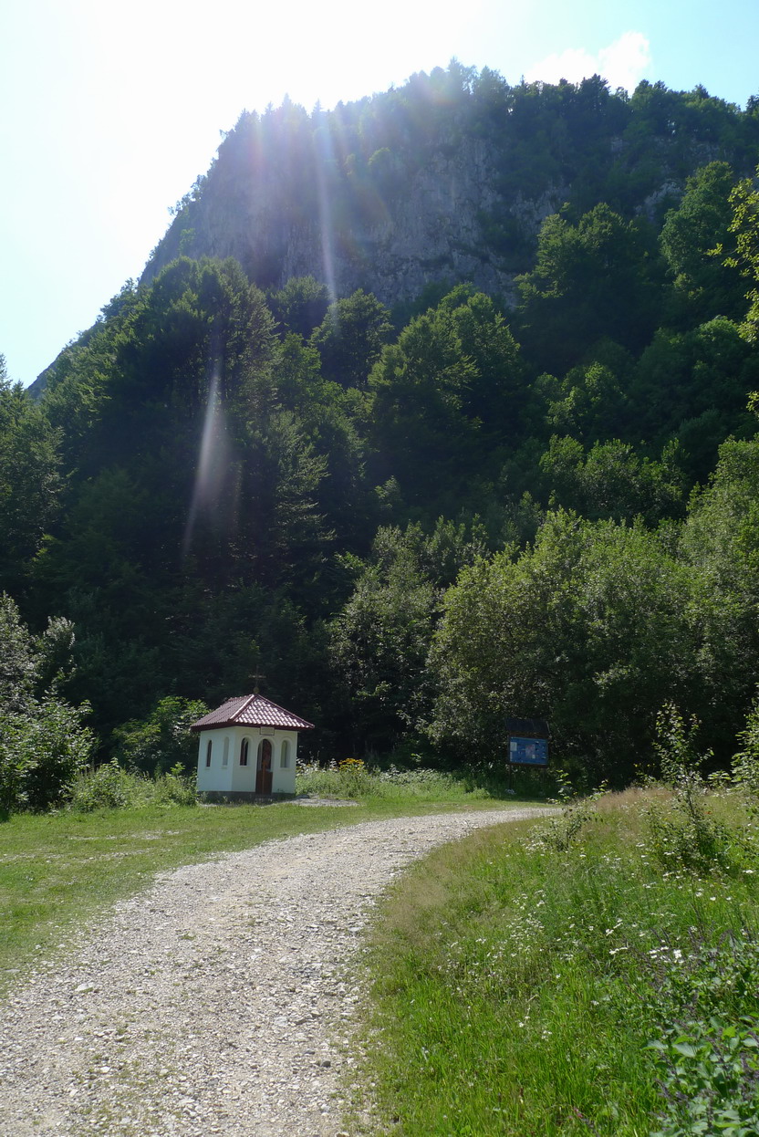 Plimbari cu bicicleta: Valea Cheii - Cabana Cheia - Olanesti, august 2010