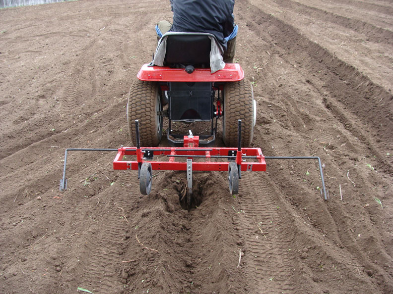 Gardening: Planting Potato's