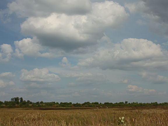 Ecobirder: Clouds by Quentin Sands