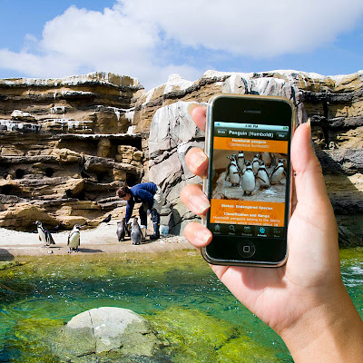 Zoo iPhone app is available!