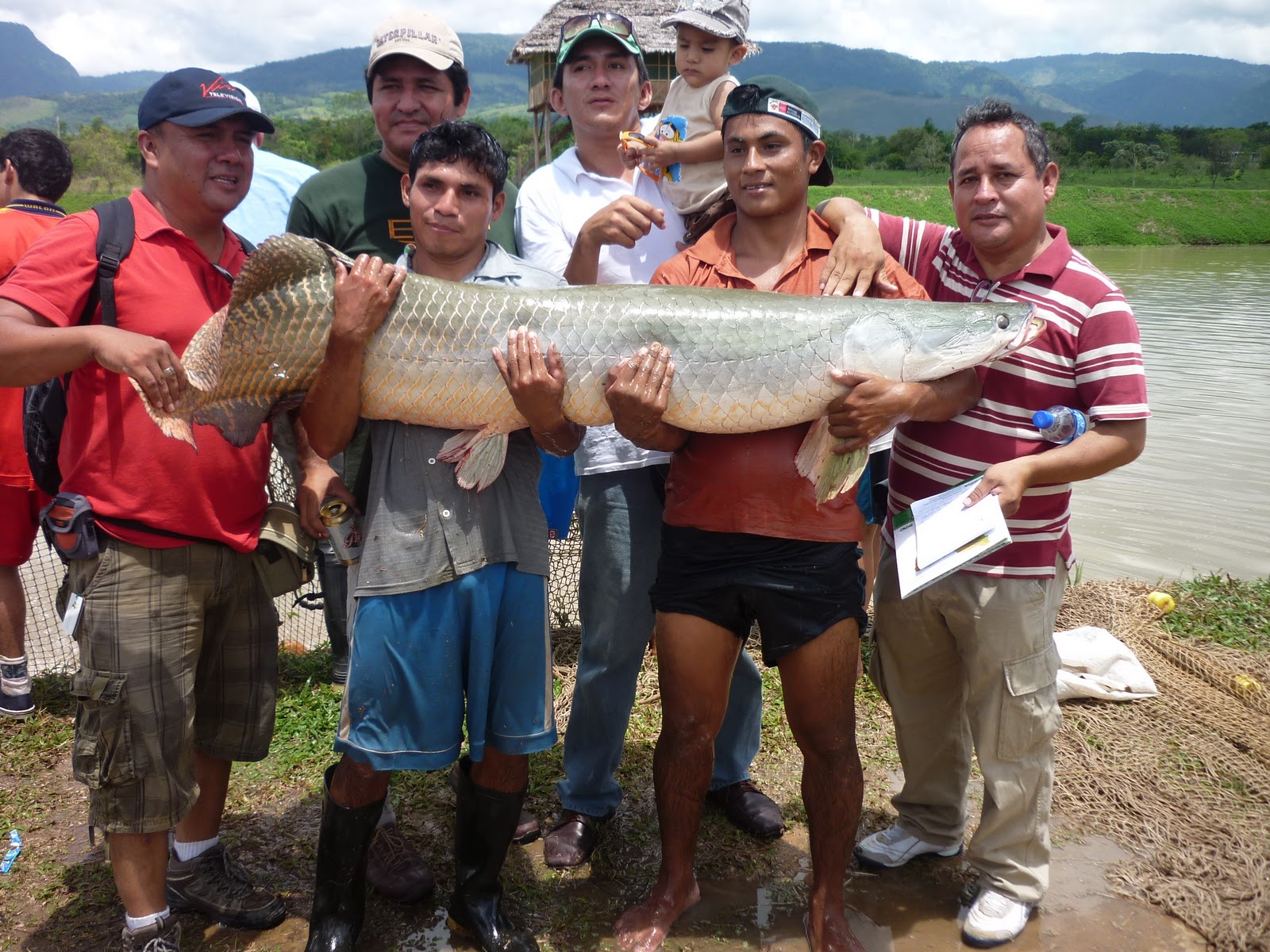 San Martín en la Noticia - Tarapoto - Perú