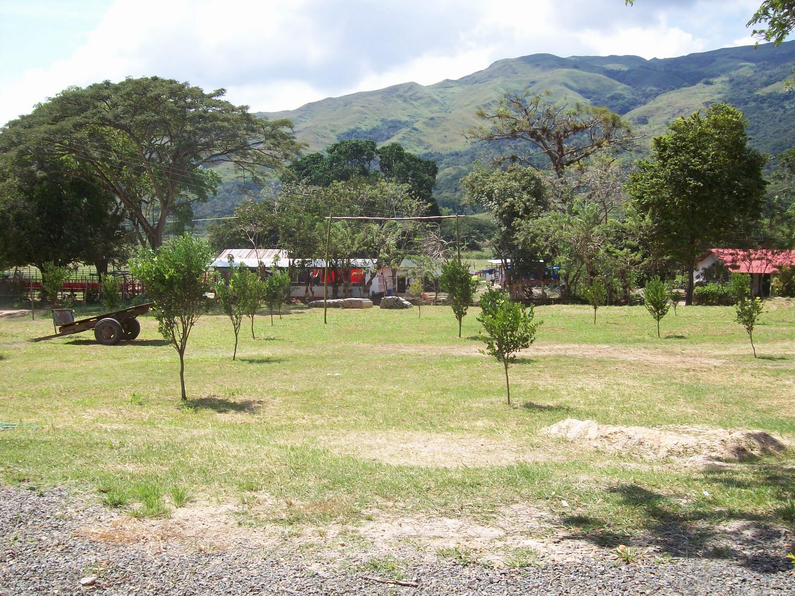 Escuela Paramaconi en los Valles Altos de Carabobo: Taller V Exposición ...