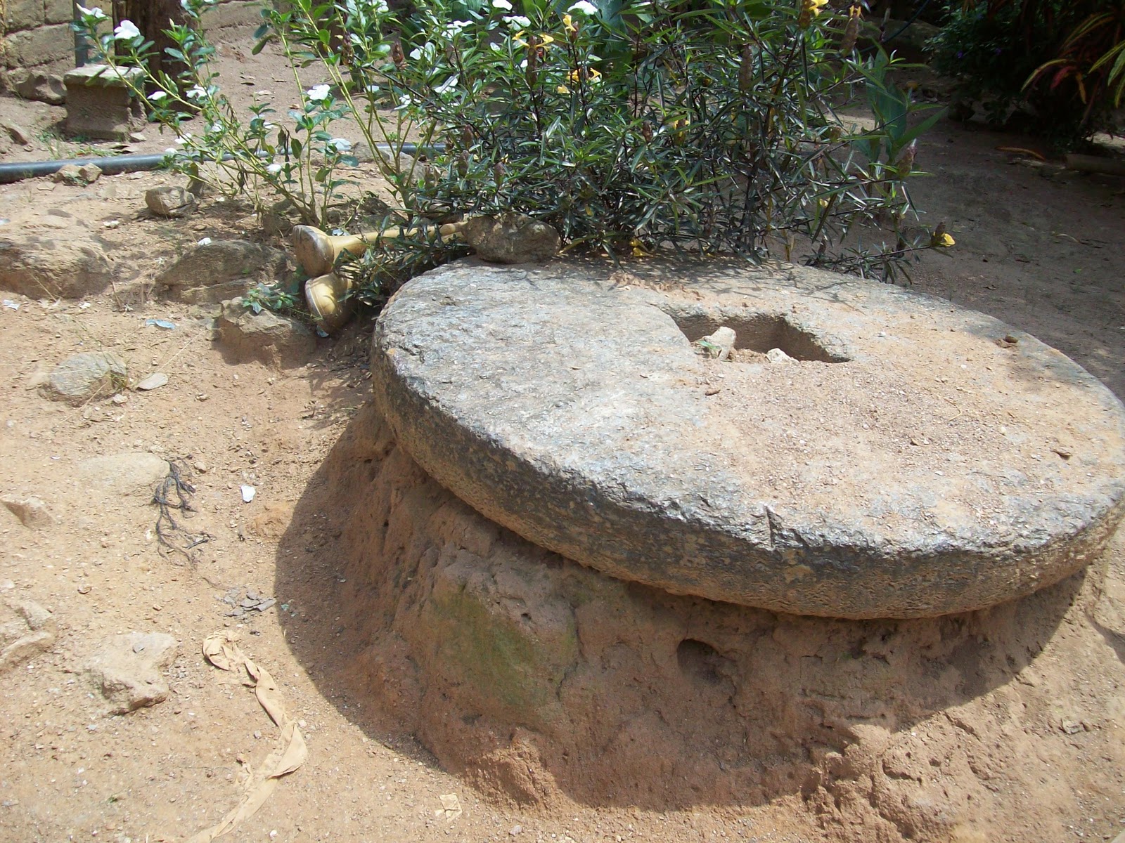 Escuela Paramaconi en los Valles Altos de Carabobo: Taller V Exposición ...