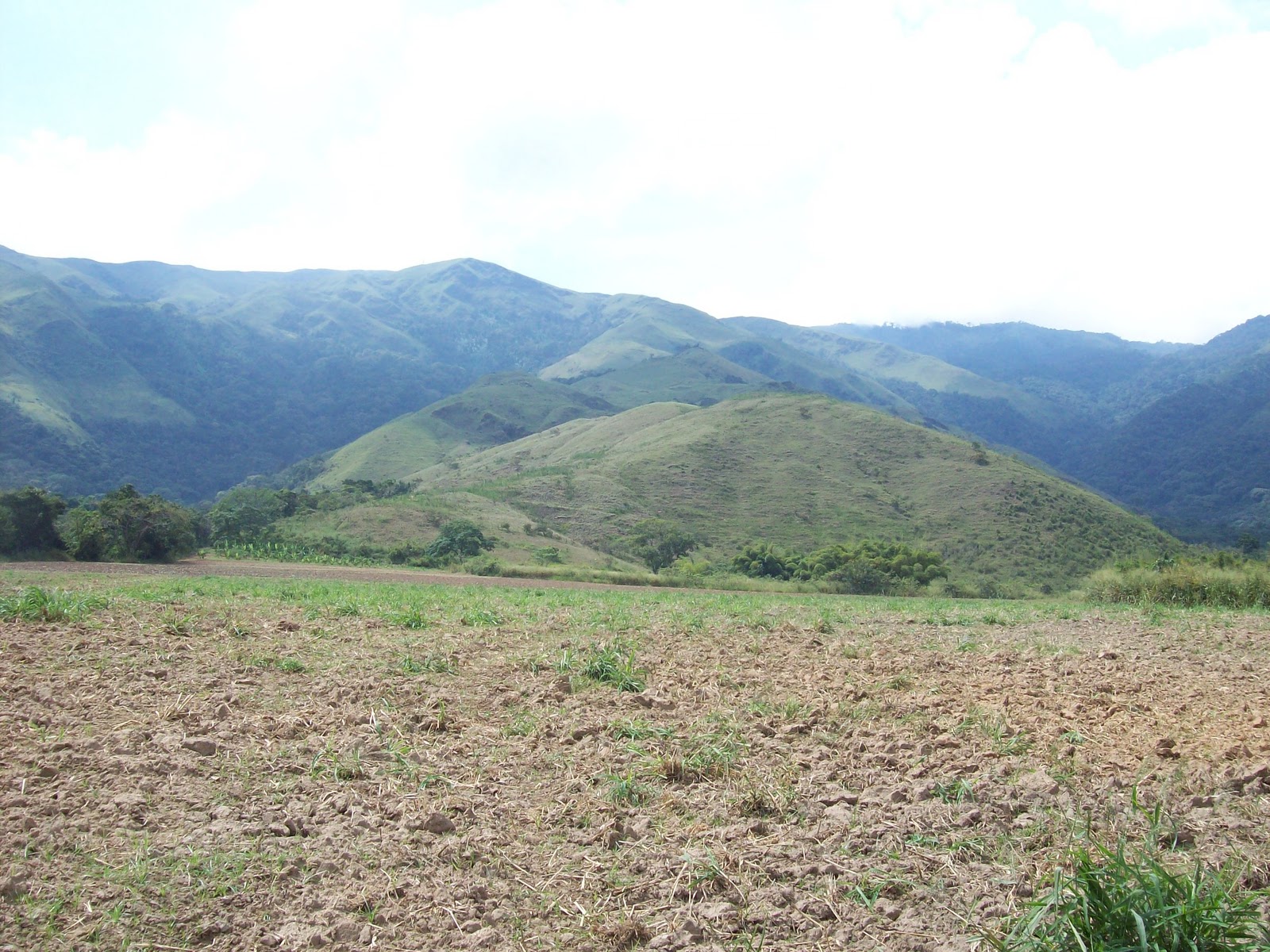 Escuela Paramaconi en los Valles Altos de Carabobo: Taller V Exposición ...