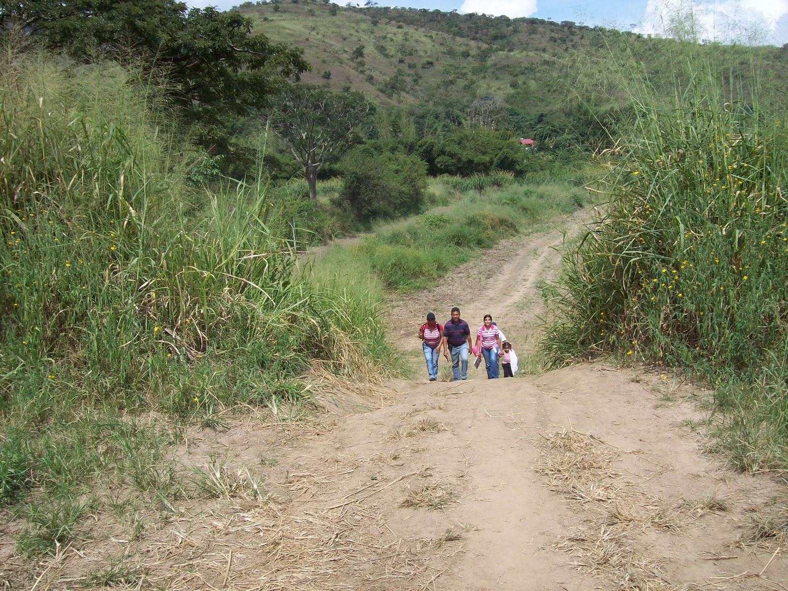 Escuela Paramaconi en los Valles Altos de Carabobo: Taller V Exposición ...