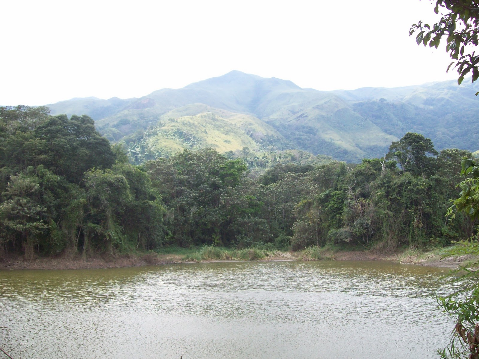 Escuela Paramaconi en los Valles Altos de Carabobo: Taller V Exposición ...