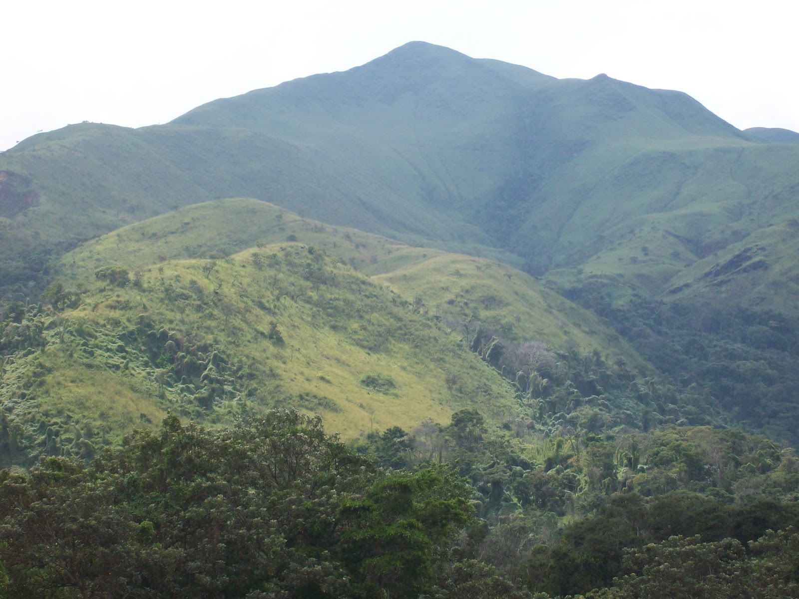 Escuela Paramaconi en los Valles Altos de Carabobo: Taller V Exposición ...