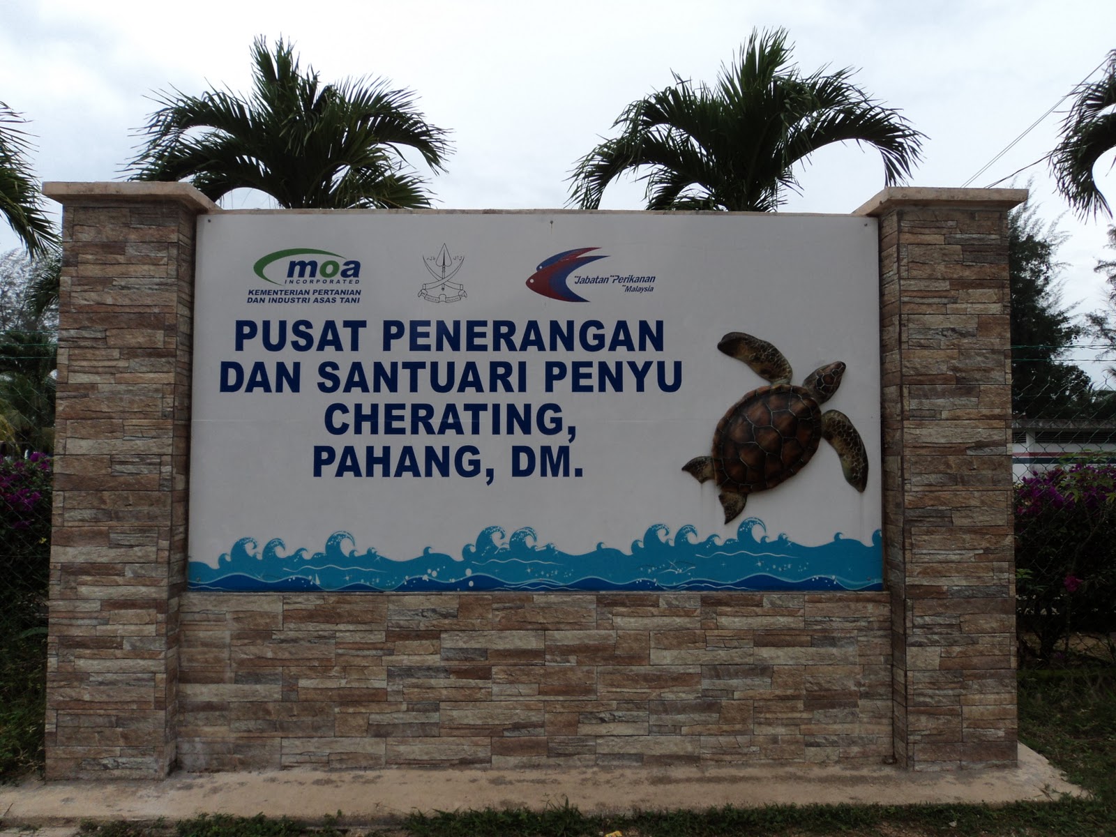 Kuantan City Lions: Turtle Conservation