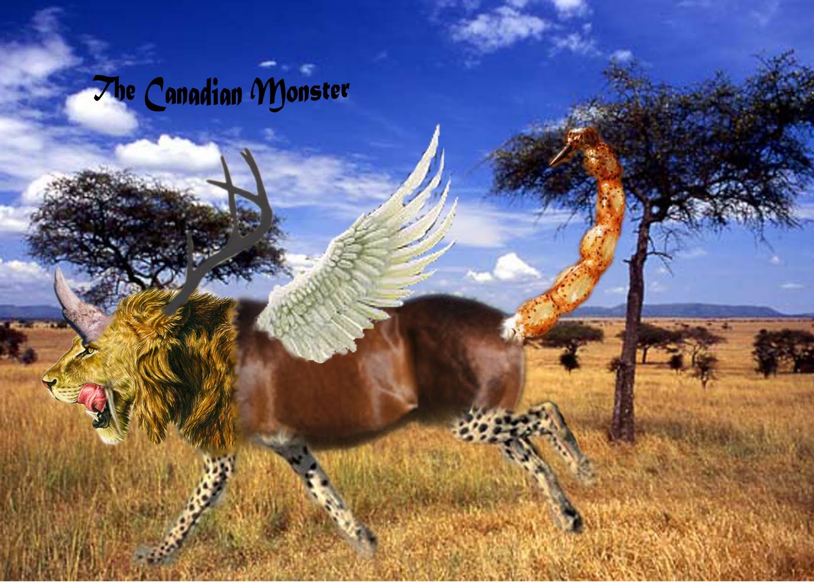 Kate's Digital Imaging Blog: Crazy Combos