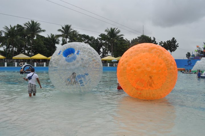 Splash Island: January 2011