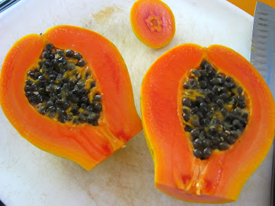 Stacy's Thoughts & Designs 88: Our Sunrise Papaya Tree...Just Bragging