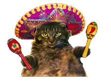 Dita & Craven: Break out the Maracas....another one's been adopted!!