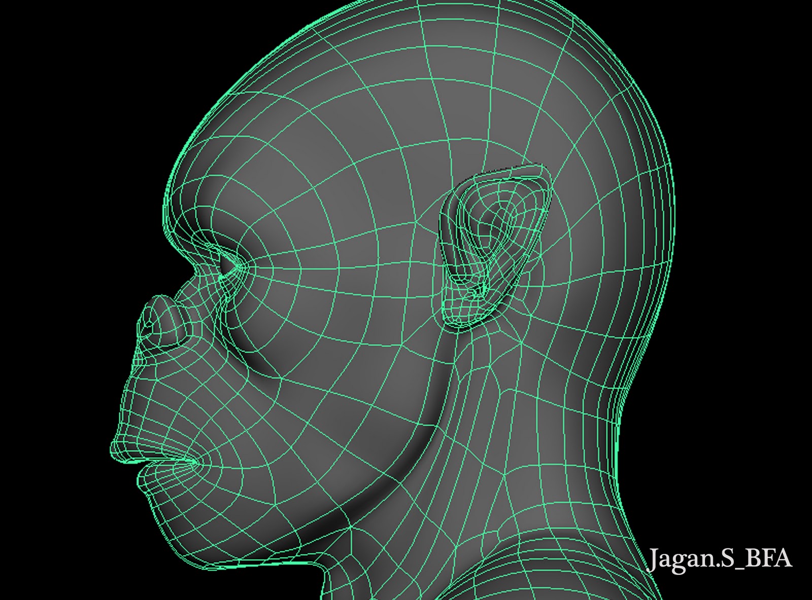 jagan 3d character artist: Ape Side