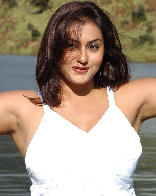 The Most Beautiful Girls: Namitha Profile - Indian Hot Actress Namitha ...