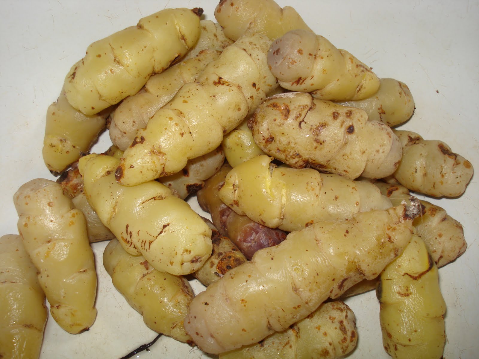 Productos agrícolas del Perú