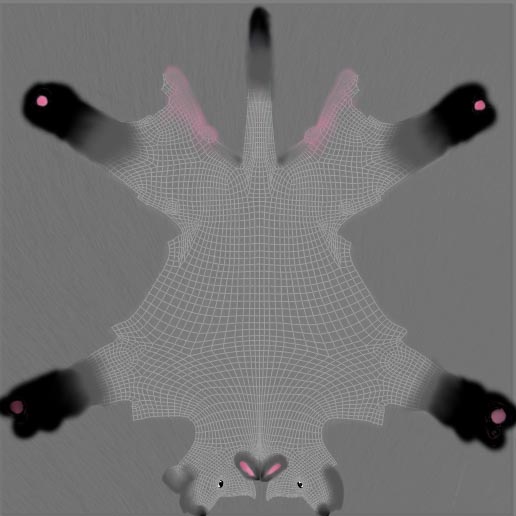 UAT TEXTURE CLASS: Textured dog