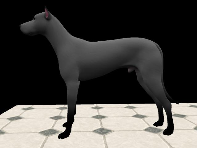 UAT TEXTURE CLASS: Textured dog