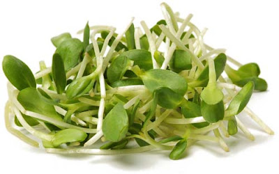 Amy: Primii mei germeni si despre germeni